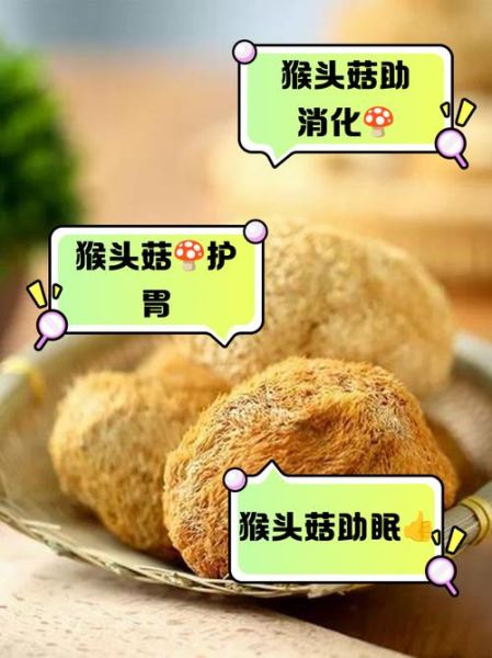 猴头菇的功效与作用怎么吃_猴头菇的正确吃法-第3张图片-山城妙识