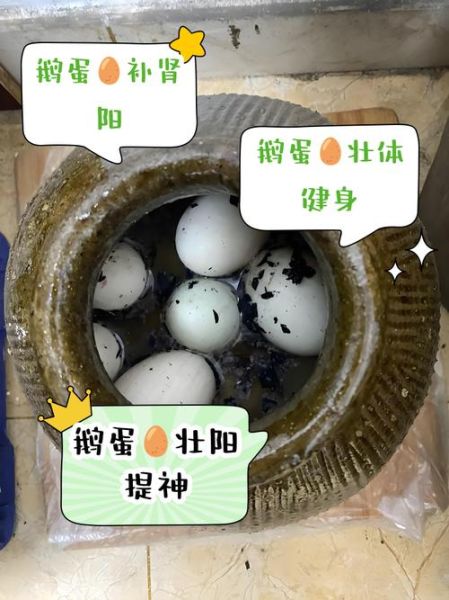 鹅蛋壮阳是真的吗_鹅蛋能提高性功能吗-第1张图片-山城妙识