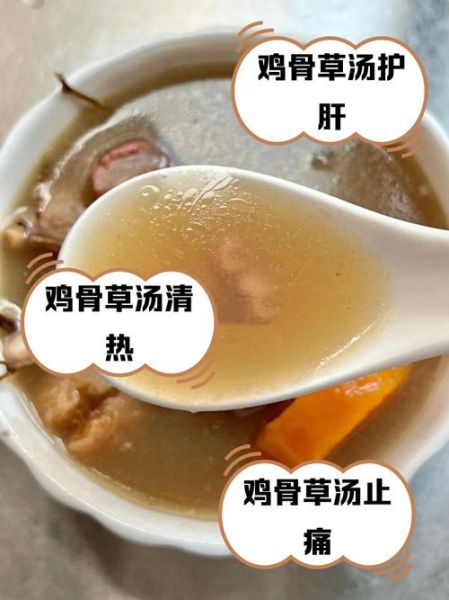 鸡骨草猪骨汤的功效与作用_鸡骨草猪骨汤怎么煲-第3张图片-山城妙识