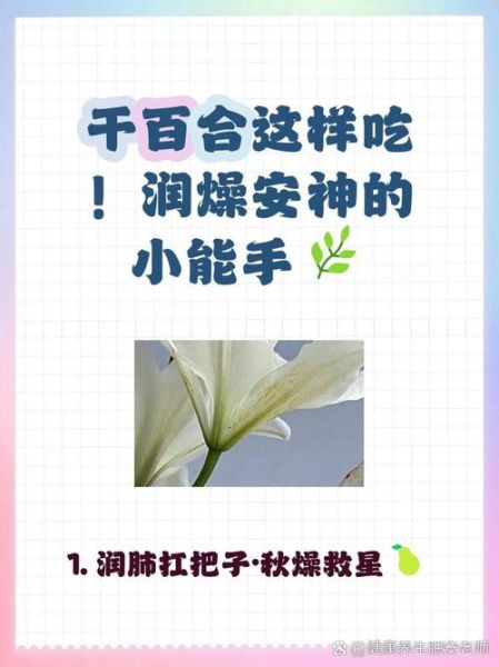 干百合怎么泡发_干百合的功效与作用-第3张图片-山城妙识