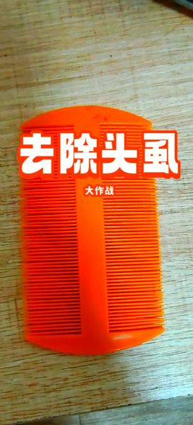 虱怎么读_虱子读音是什么-第3张图片-山城妙识