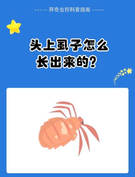 虱怎么读_虱子读音是什么-第1张图片-山城妙识