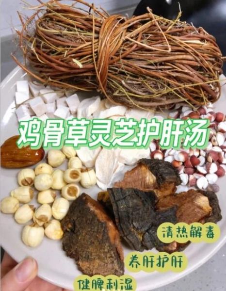 鸡骨草煲汤猪骨的做法_鸡骨草猪骨汤有什么功效-第1张图片-山城妙识