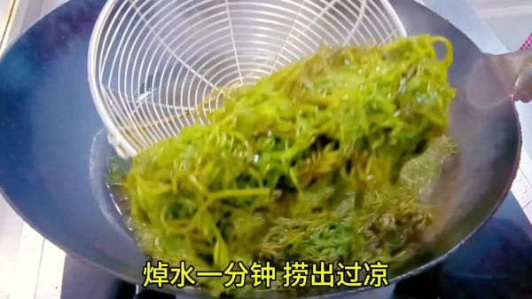 长寿菜的做法大全_长寿菜怎么做好吃-第1张图片-山城妙识 长寿菜的做法大全_长寿菜怎么做好吃-第1张图片-山城妙识