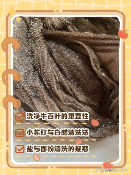 牛百叶怎么清洗才干净_牛百叶清洗方法-第2张图片-山城妙识