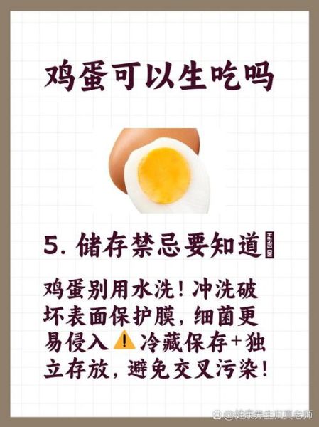 生鸡蛋的功效与作用_生鸡蛋能直接吃吗-第1张图片-山城妙识