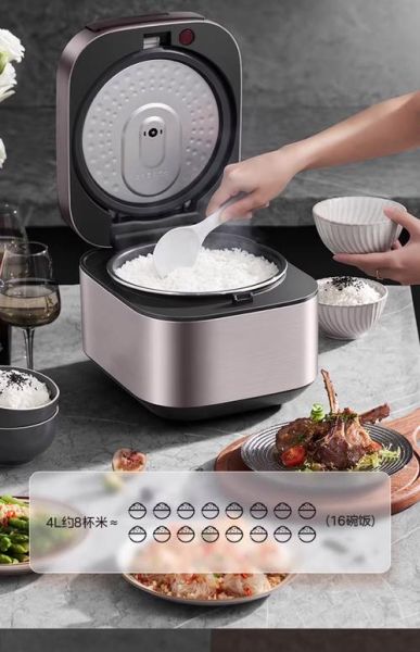 哪个电饭煲煮饭最好吃_家用电饭煲哪款性价比高-第2张图片-山城妙识