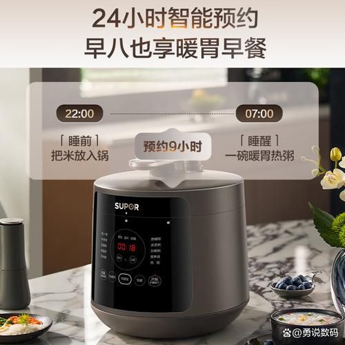 哪个电饭煲煮饭最好吃_家用电饭煲哪款性价比高-第1张图片-山城妙识