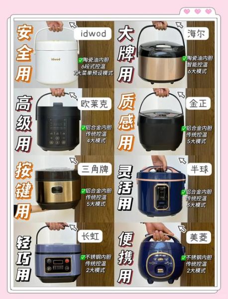 哪个电饭煲煮饭最好吃_家用电饭煲哪款性价比高-第3张图片-山城妙识