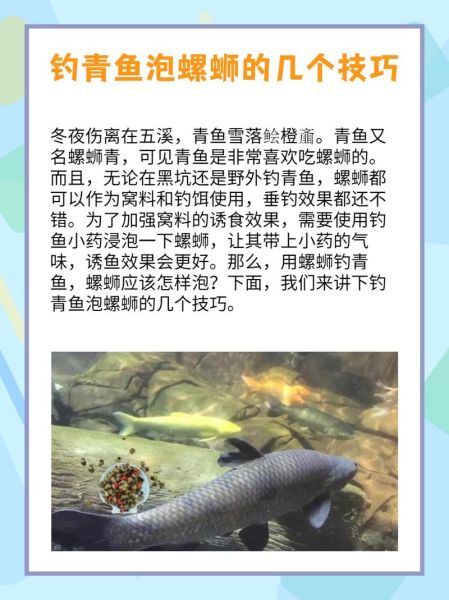 螺蛳青鱼苗吃什么_螺蛳青鱼苗饲料选择-第1张图片-山城妙识