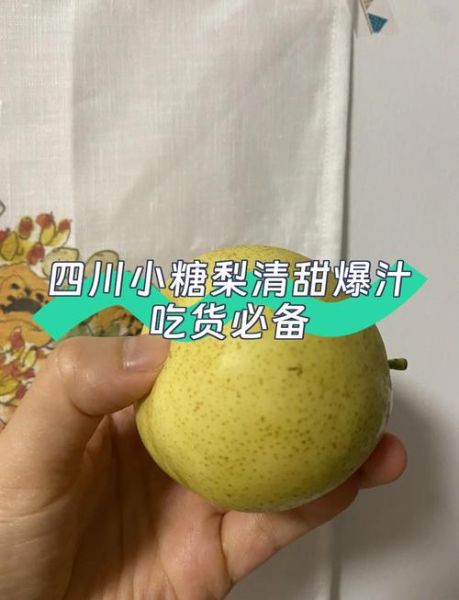 小糖梨的功效与作用_小糖梨适合什么人吃-第2张图片-山城妙识