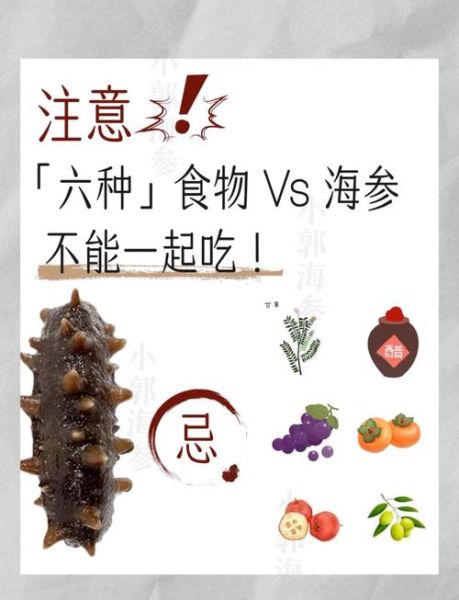 儿童可以吃海参吗_海参对儿童的好处与禁忌-第1张图片-山城妙识