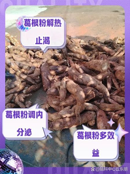 葛根粉怎么吃比较好_葛根粉的正确吃法-第1张图片-山城妙识