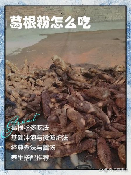 葛根粉怎么吃比较好_葛根粉的正确吃法-第3张图片-山城妙识