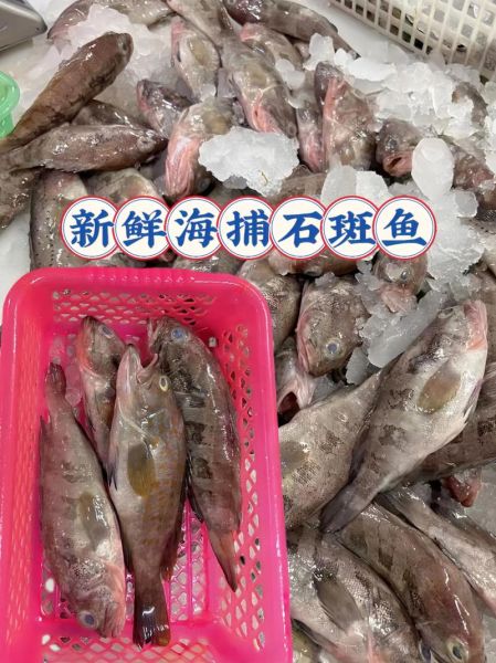 海斑鱼是什么鱼_海斑鱼多少钱一斤-第1张图片-山城妙识