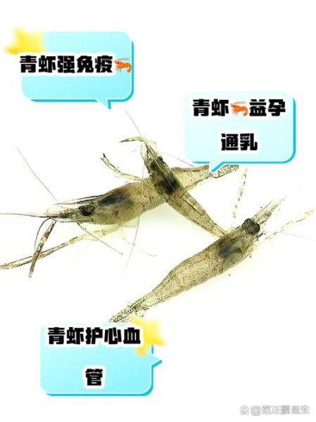青虾养殖技术要点_如何提高青虾成活率-第2张图片-山城妙识 青虾养殖技术要点_如何提高青虾成活率-第2张图片-山城妙识