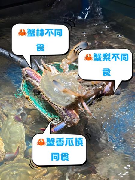 吃螃蟹不能吃什么_吃螃蟹的禁忌食物有哪些-第2张图片-山城妙识
