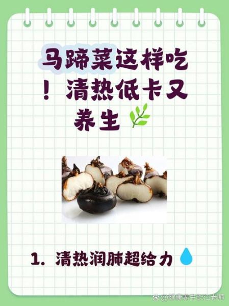 马蹄菜的功效与作用_马蹄菜怎么吃最好-第2张图片-山城妙识