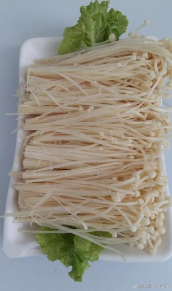 超越火锅鸡秘方香料有哪些_如何复刻正宗味道-第2张图片-山城妙识