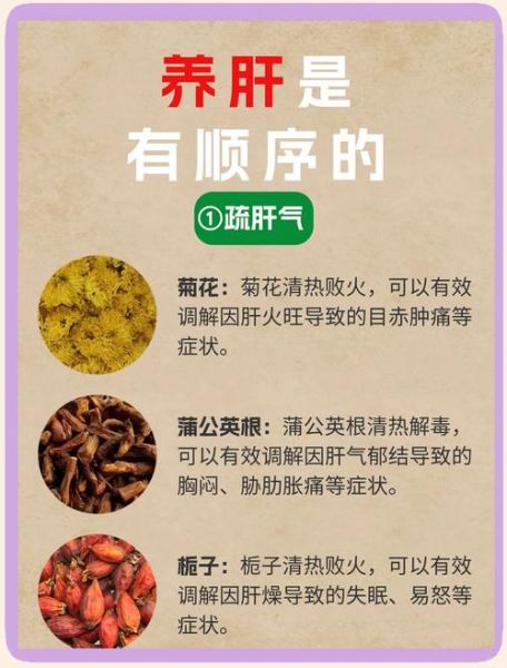 什么泡水喝养肝护肝_养肝护肝喝什么茶好-第2张图片-山城妙识 什么泡水喝养肝护肝_养肝护肝喝什么茶好-第2张图片-山城妙识