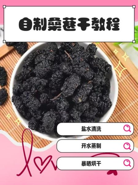 家里如何自制桑葚干_桑葚干怎么做才好吃-第1张图片-山城妙识