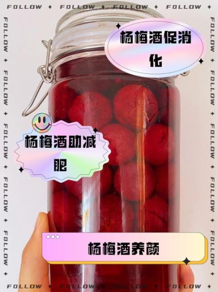 杨梅酒的功效与作用_什么人不能喝杨梅酒-第3张图片-山城妙识 杨梅酒的功效与作用_什么人不能喝杨梅酒-第3张图片-山城妙识