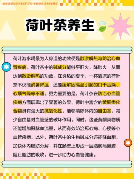 荷叶的功效与作用及用量_荷叶减肥一天喝多少克-第3张图片-山城妙识