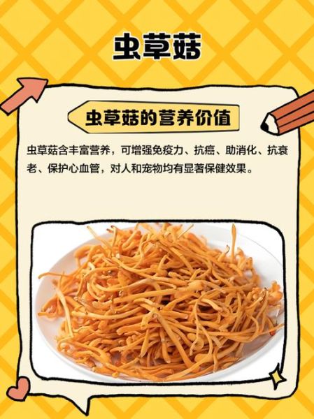 虫草菇的营养价值_虫草菇的功效与作用-第1张图片-山城妙识