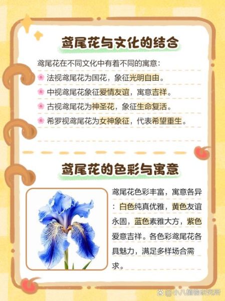 鸢尾花花语是什么_不同颜色代表什么含义-第1张图片-山城妙识