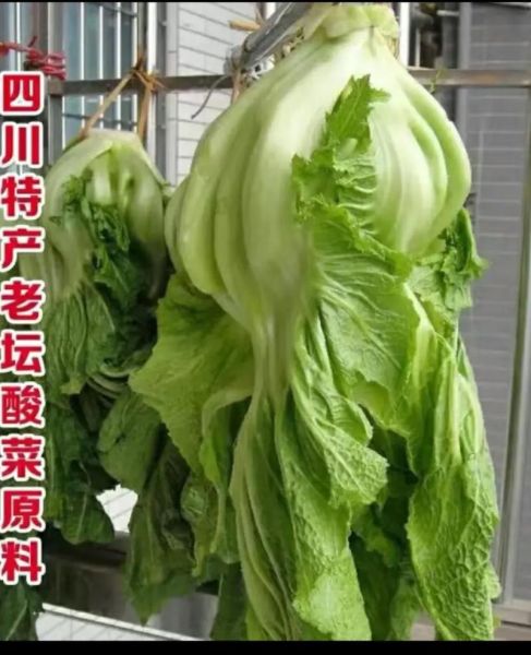 四川泡菜怎么做_正宗老坛水配方-第1张图片-山城妙识