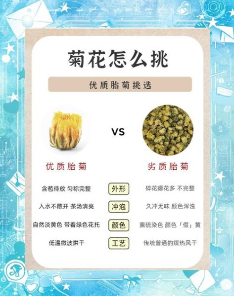 菊花茶的功效与作用及副作用_哪些人不能喝-第2张图片-山城妙识