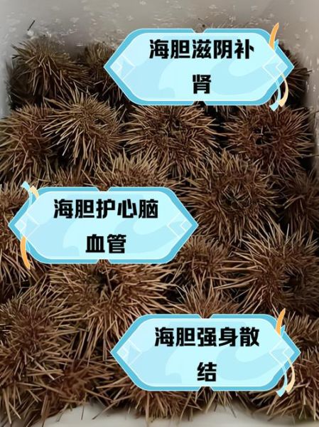 海胆有毒吗_海胆刺伤中毒怎么办-第1张图片-山城妙识