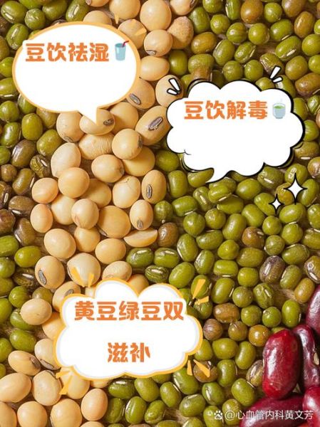 豆汁是豆浆吗_豆汁和豆浆的区别-第2张图片-山城妙识