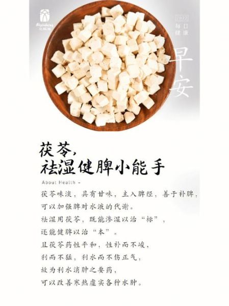 茯苓的功效与作用_茯苓的主治有哪些-第3张图片-山城妙识