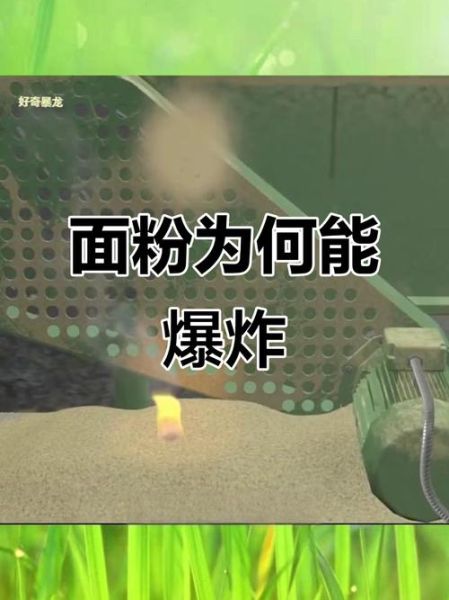 面粉爆炸实验怎么做_面粉爆炸实验原理-第2张图片-山城妙识