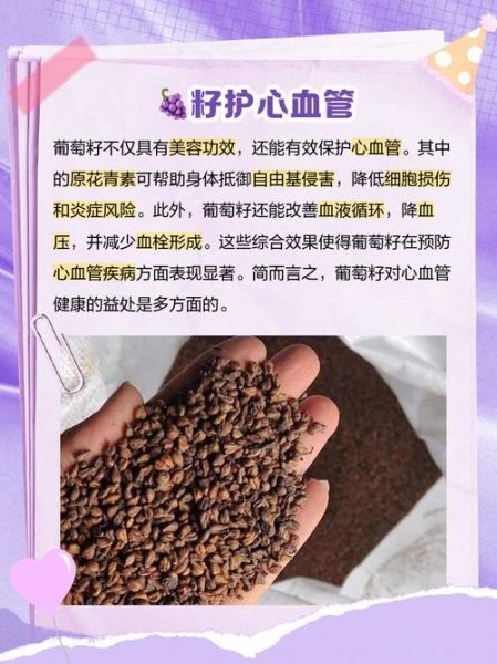葡萄籽的功效与作用_葡萄籽怎么吃效果最好-第2张图片-山城妙识 葡萄籽的功效与作用_葡萄籽怎么吃效果最好-第2张图片-山城妙识