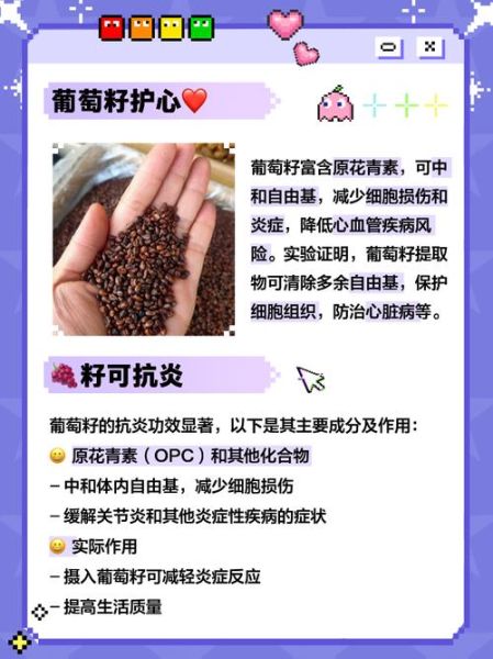 葡萄籽的功效与作用_葡萄籽怎么吃效果最好-第1张图片-山城妙识 葡萄籽的功效与作用_葡萄籽怎么吃效果最好-第1张图片-山城妙识