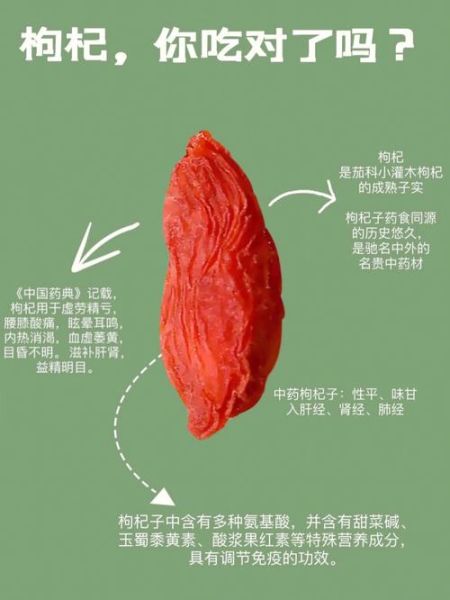 枸杞一天吃多少粒为宜_过量有什么副作用-第2张图片-山城妙识