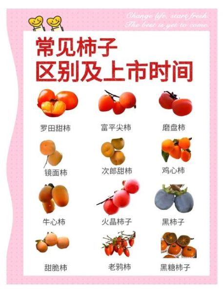 柿子有什么营养价值_吃柿子能降血糖吗-第2张图片-山城妙识