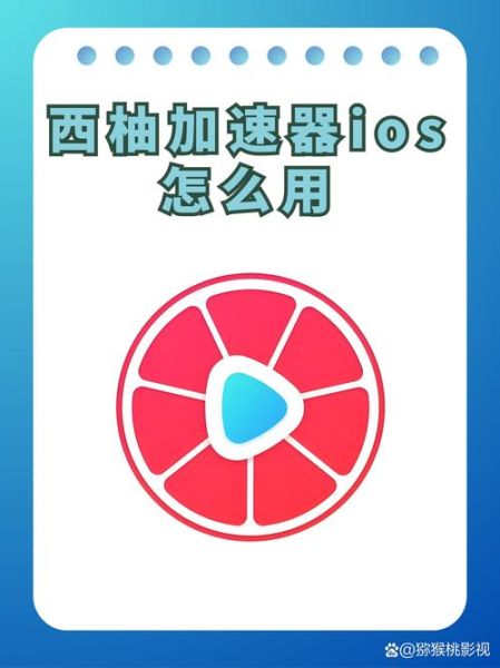 西柚加速器下载地址在哪_西柚加速器安全吗-第2张图片-山城妙识