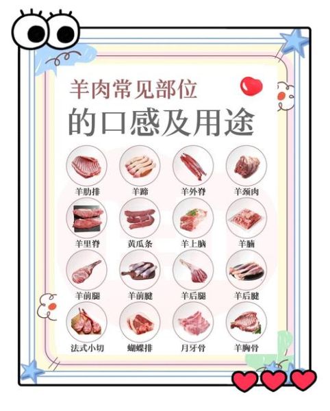 羊肉饺子馅用哪个部位的肉_羊腿肉还是羊肩肉-第1张图片-山城妙识 羊肉饺子馅用哪个部位的肉_羊腿肉还是羊肩肉-第1张图片-山城妙识