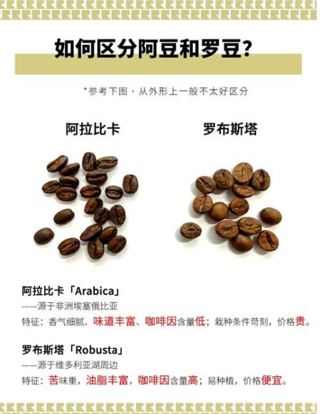 咖啡豆种类有哪些_阿拉比卡和罗布斯塔区别-第1张图片-山城妙识 咖啡豆种类有哪些_阿拉比卡和罗布斯塔区别-第1张图片-山城妙识