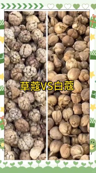 香果与肉蔻的区别_如何一眼分辨-第3张图片-山城妙识