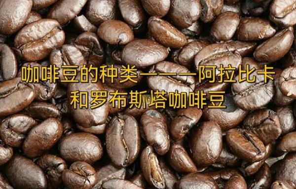 咖啡豆种类有哪些_阿拉比卡和罗布斯塔区别-第3张图片-山城妙识 咖啡豆种类有哪些_阿拉比卡和罗布斯塔区别-第3张图片-山城妙识
