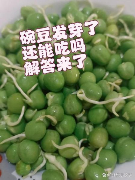 发芽的豌豆粒可以吃吗_怎么判断安全-第1张图片-山城妙识