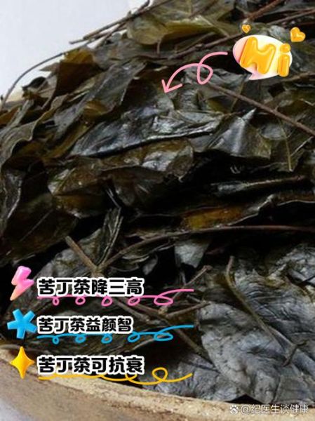 苦丁茶图片的功效与作用_苦丁茶能减肥吗-第1张图片-山城妙识