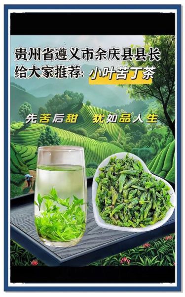 苦丁茶图片的功效与作用_苦丁茶能减肥吗-第3张图片-山城妙识