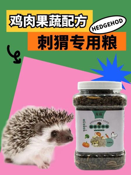 刺猬吃什么_刺猬可以吃什么食物-第3张图片-山城妙识