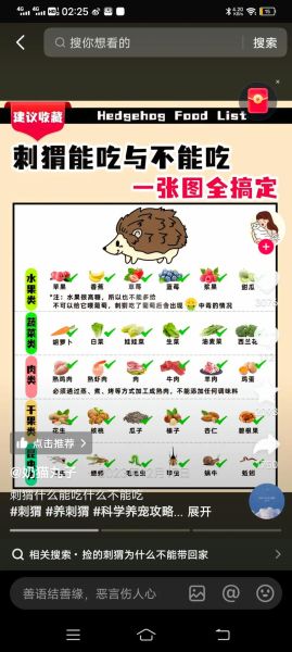 刺猬吃什么_刺猬可以吃什么食物-第1张图片-山城妙识