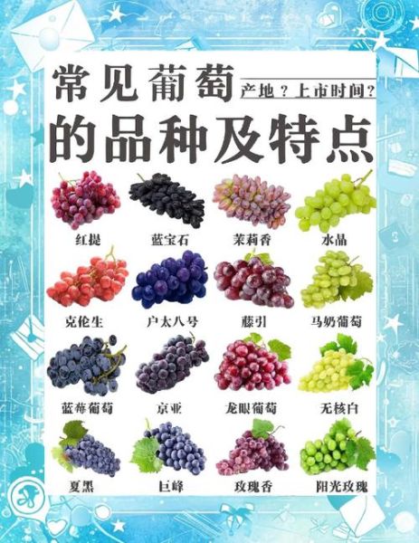 葡萄的营养价值及功效_吃葡萄有什么好处-第1张图片-山城妙识